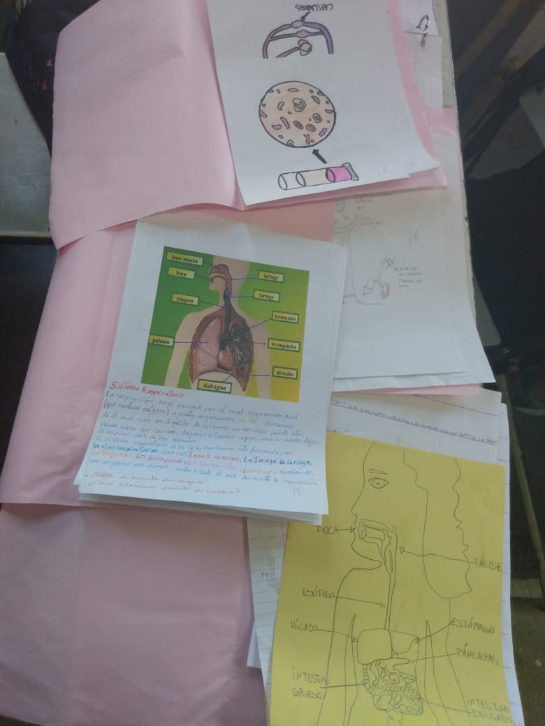Proyecto “El cuerpo humano y sus sistemas” | #SoyDocente